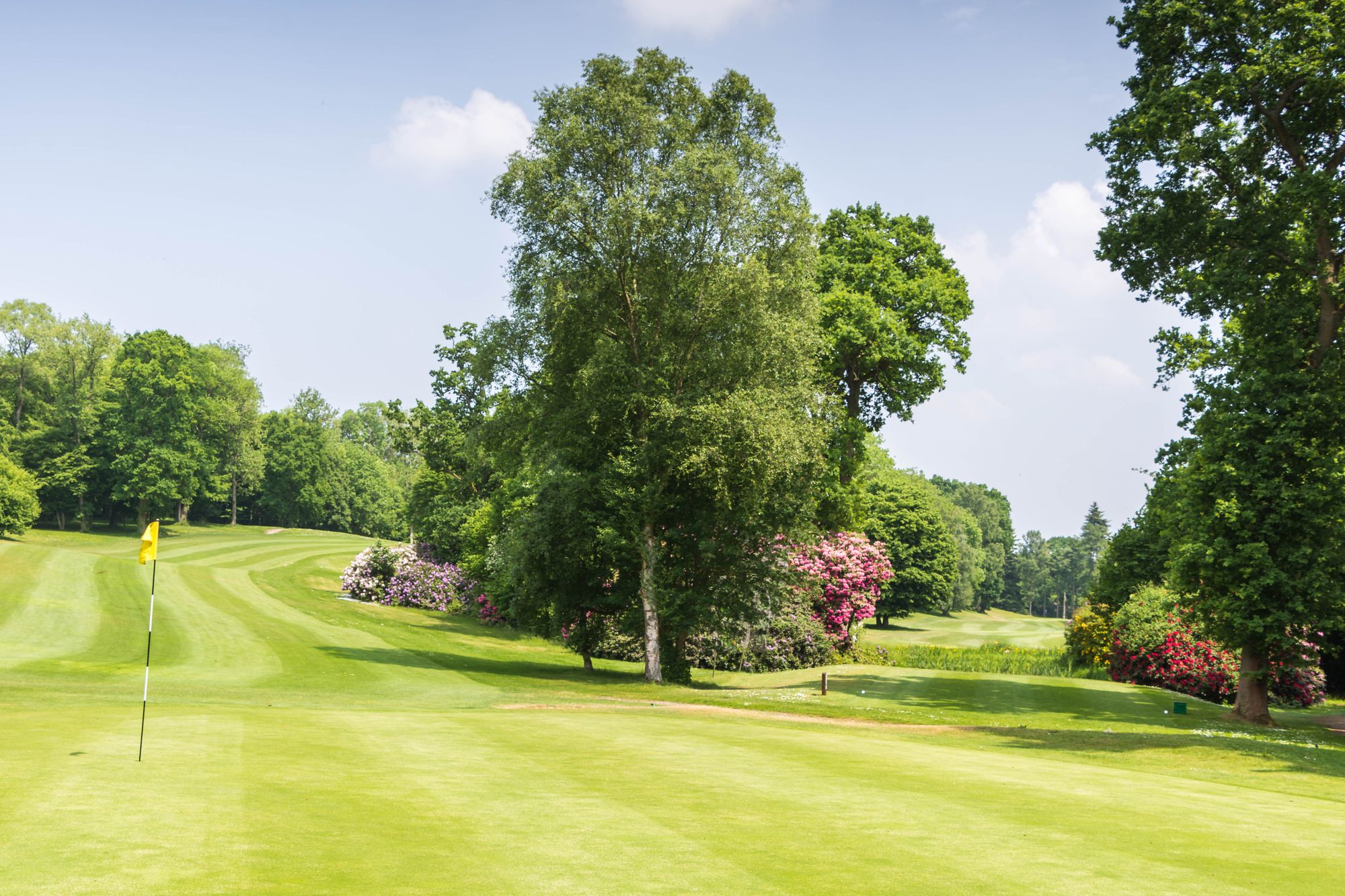 Puttenham Golf Club plot under the hammer for nearly 17 times average ...