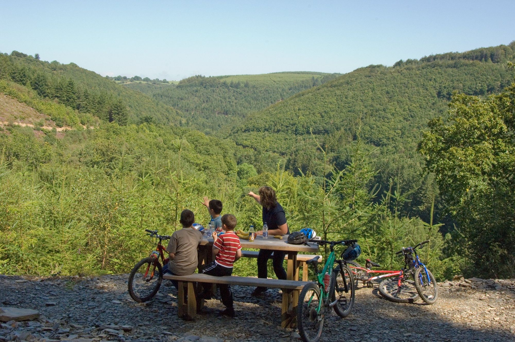 Public invited to give feedback over future management of Brechfa ...