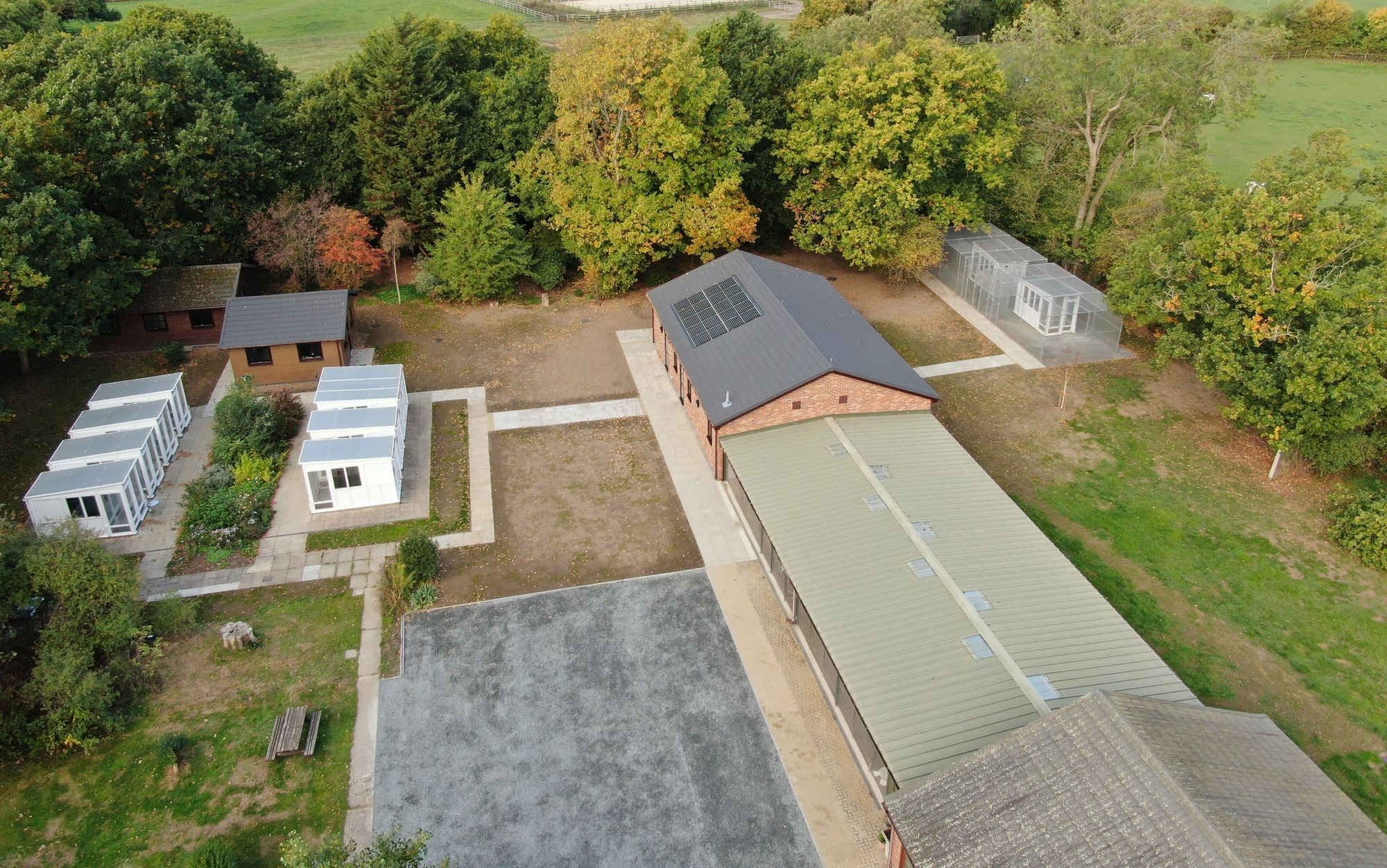 Chelmsford cat centre re-opens after major upgrade | InYourArea Community