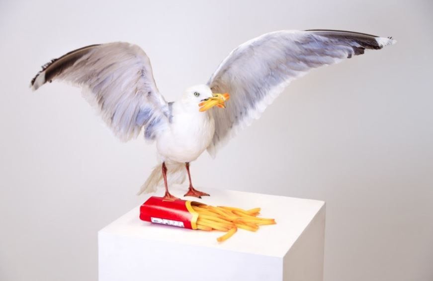 Sunderland artist shortlisted for UK New Artist of the Year award ...