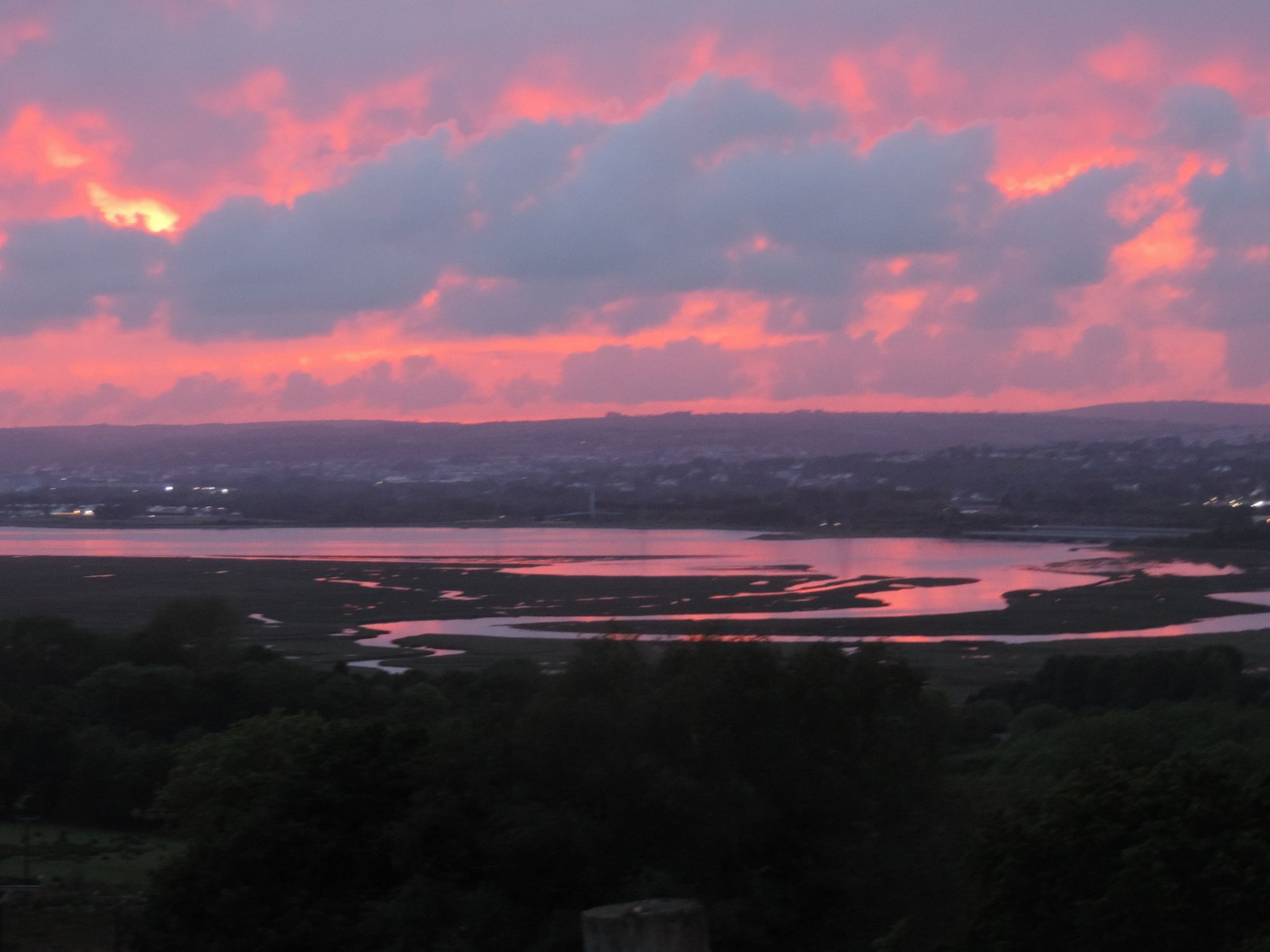 Llanelli Town Council blasts plans to renew wildfowling lease in ...