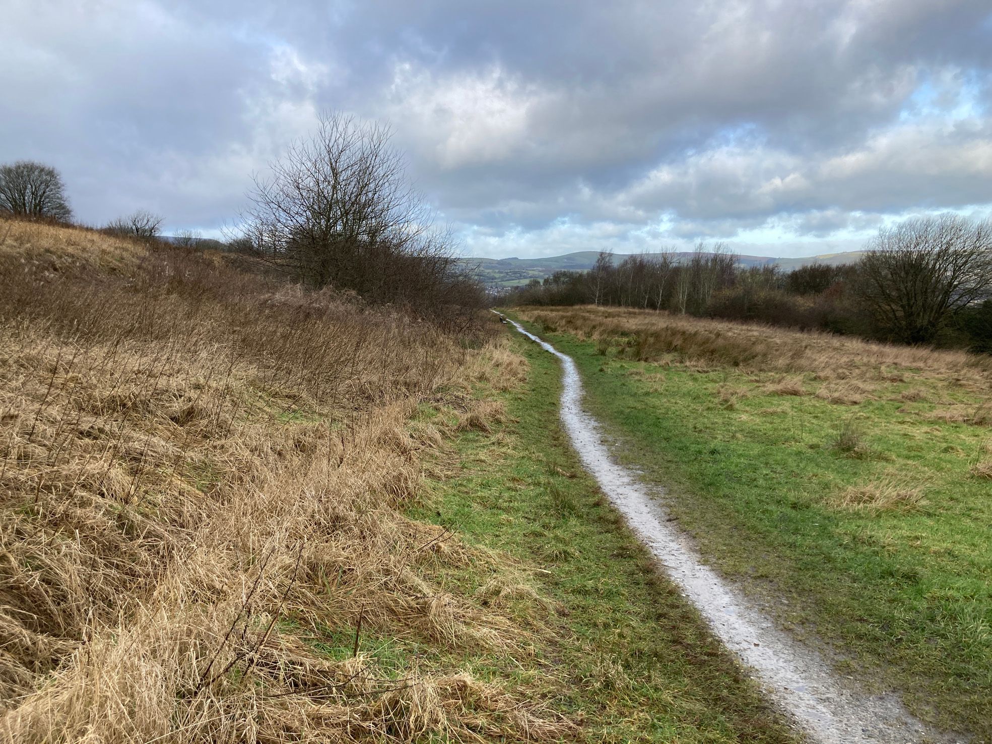 Work will make Quarry Hill nature reserve 'more welcoming and ...