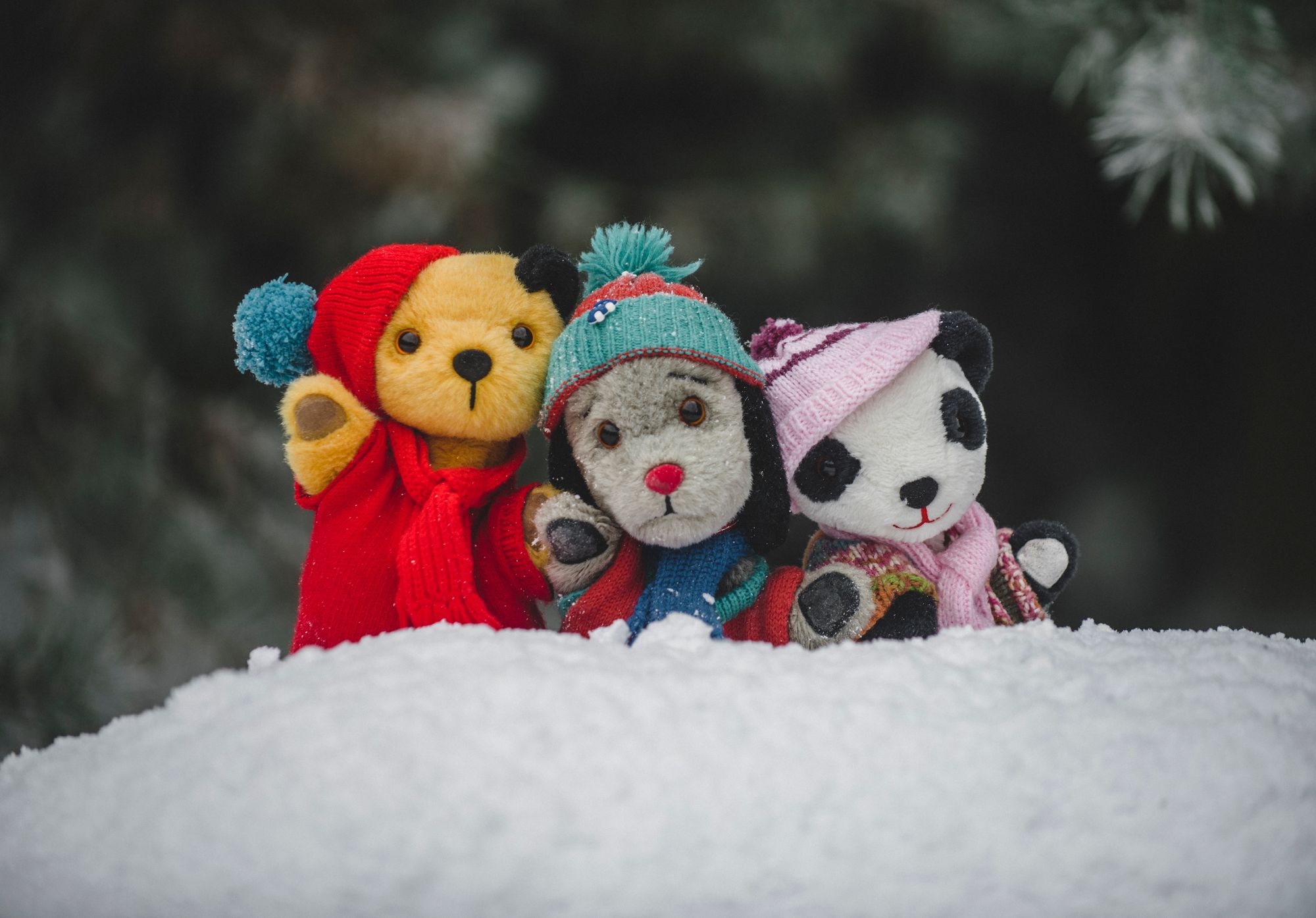 Sooty, Sweep, and Soo partner with Childline to launch first-ever ...