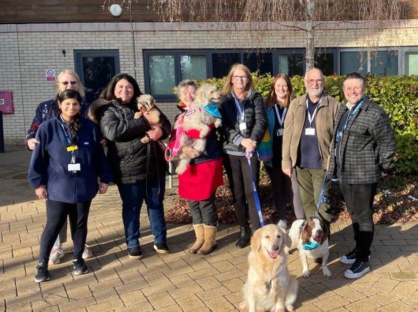 Animal-loving patients at acute mental health wards enjoy pet therapy ...