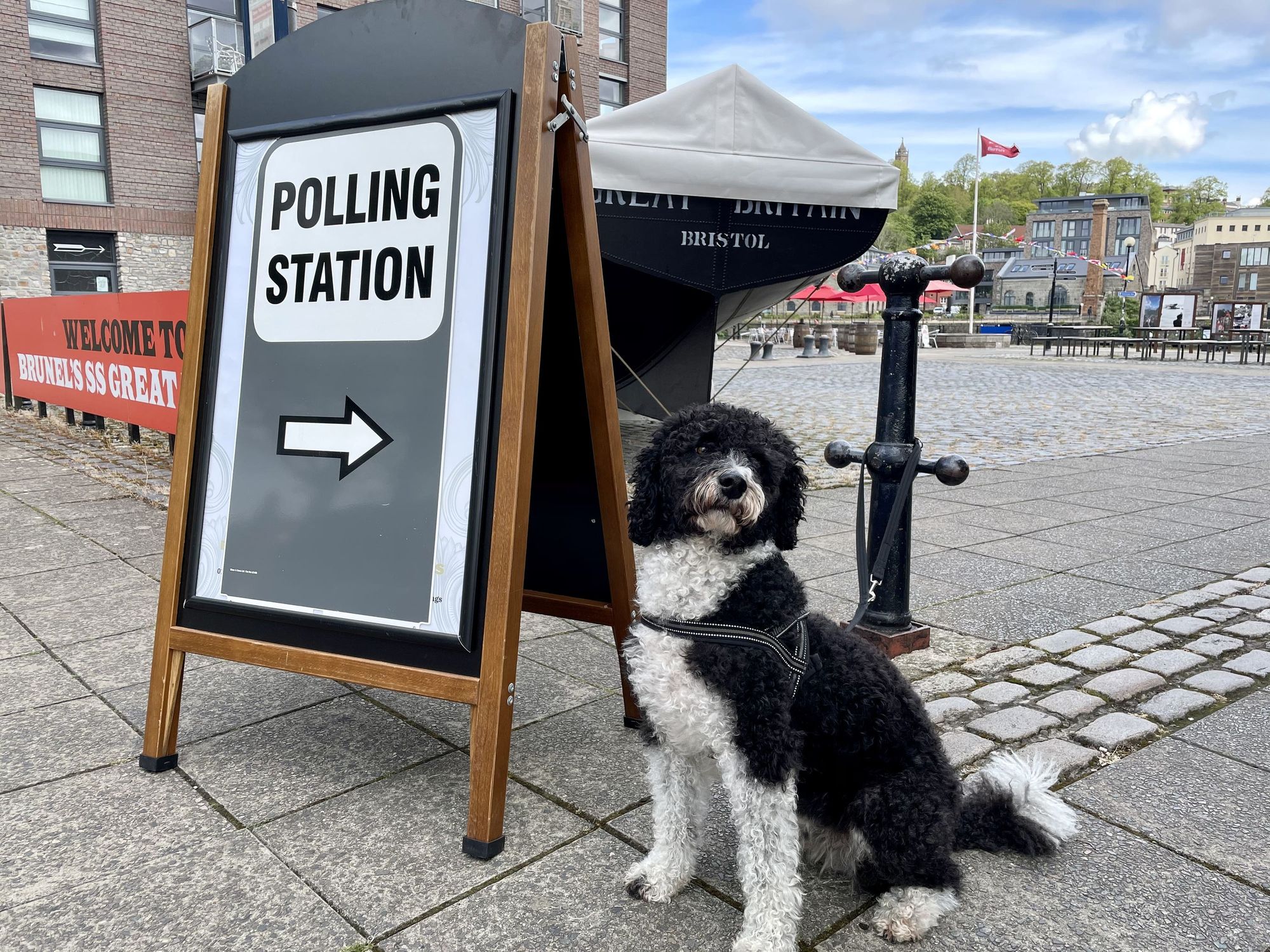 Local elections: When to expect key results and events | National