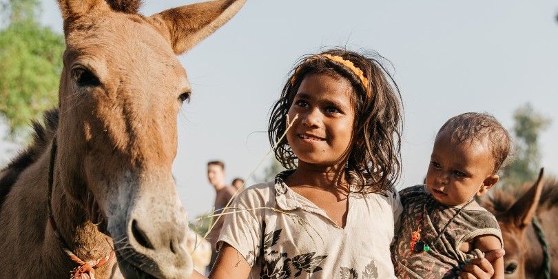 Leeds professor hosts fundraiser for working horses and donkeys charity ...