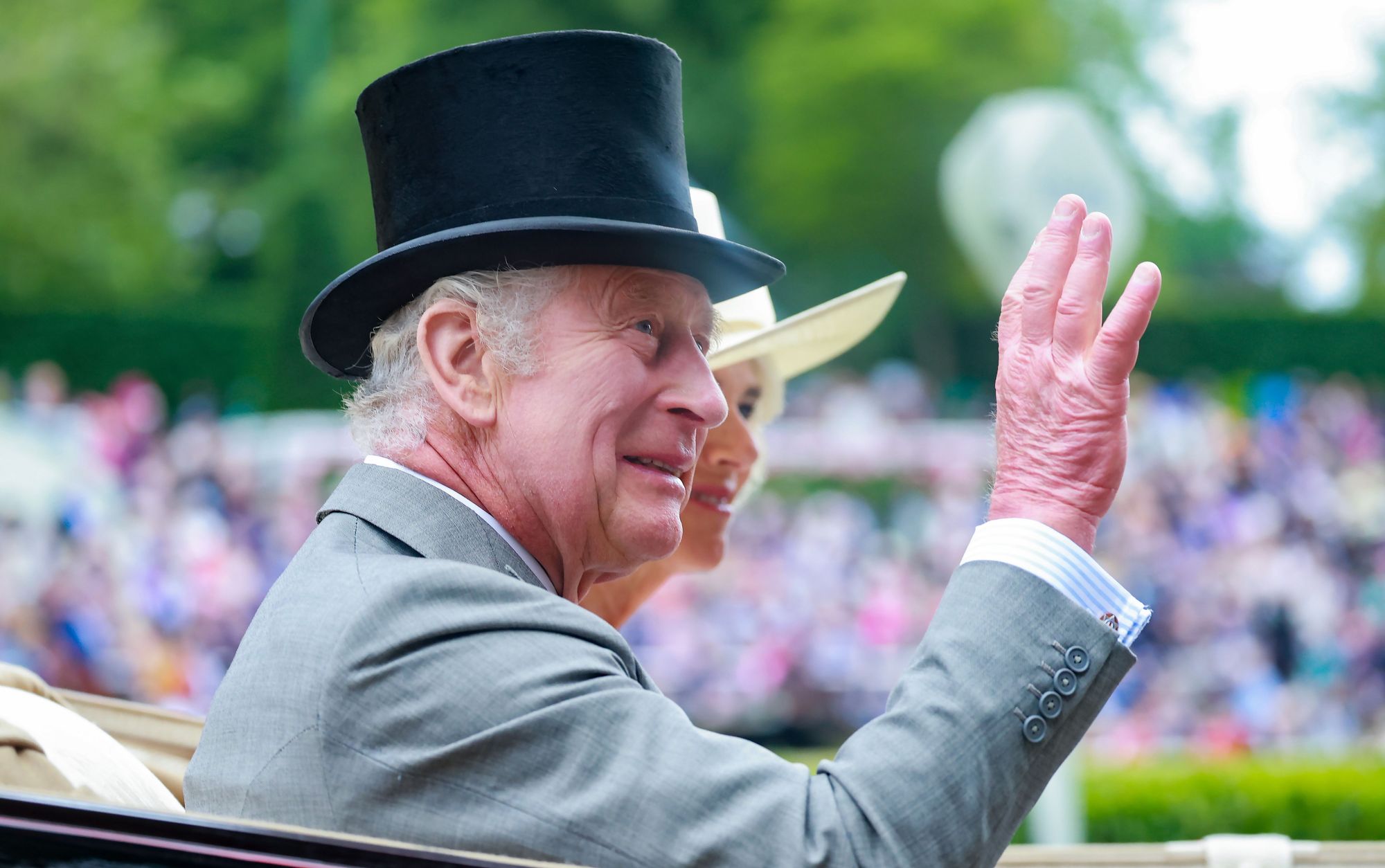 King Charles' best-loved plant may bring wildlife to your garden | National