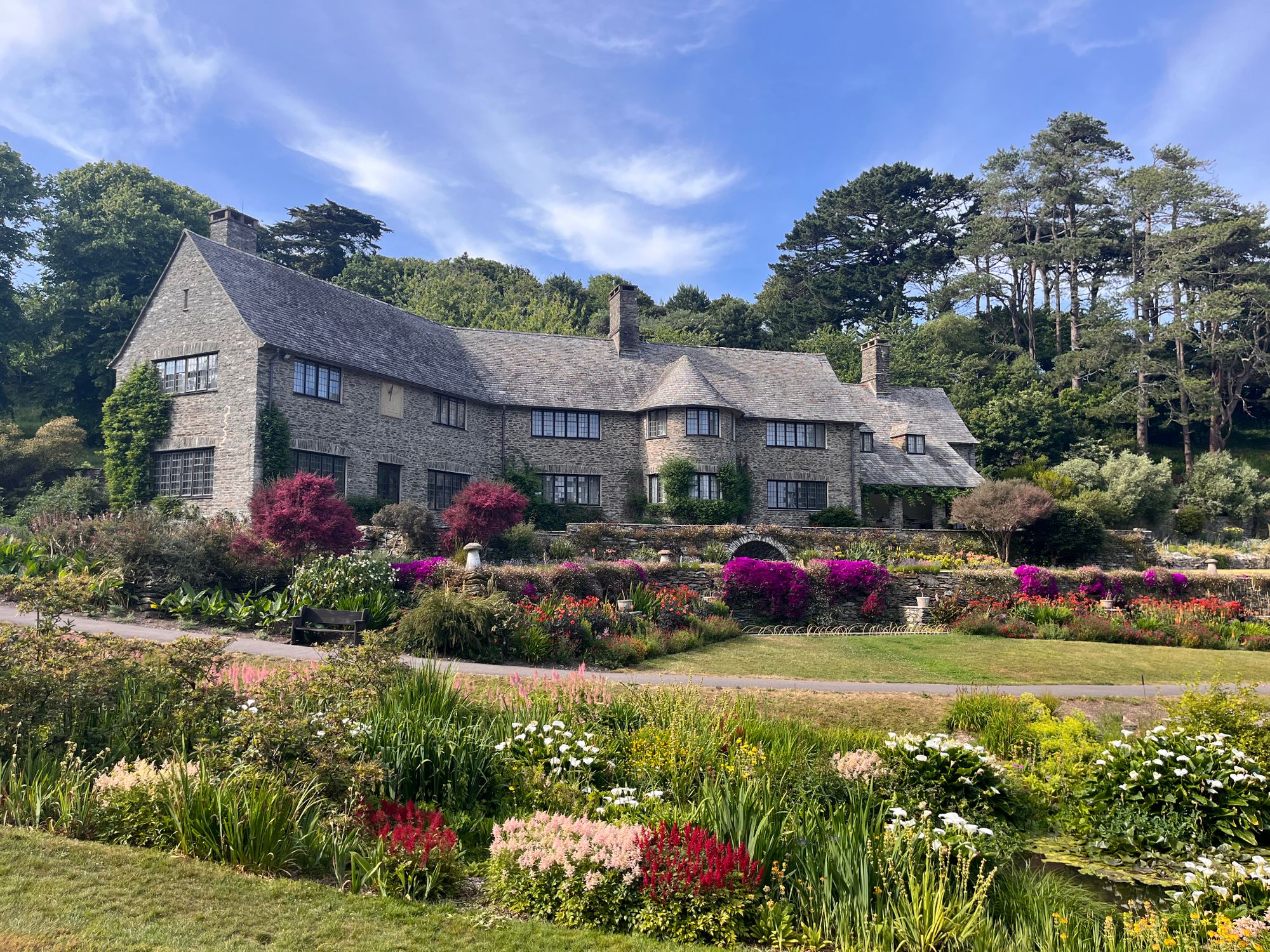 Tropical flowers put on a great show at one of Devon's hidden gems ...