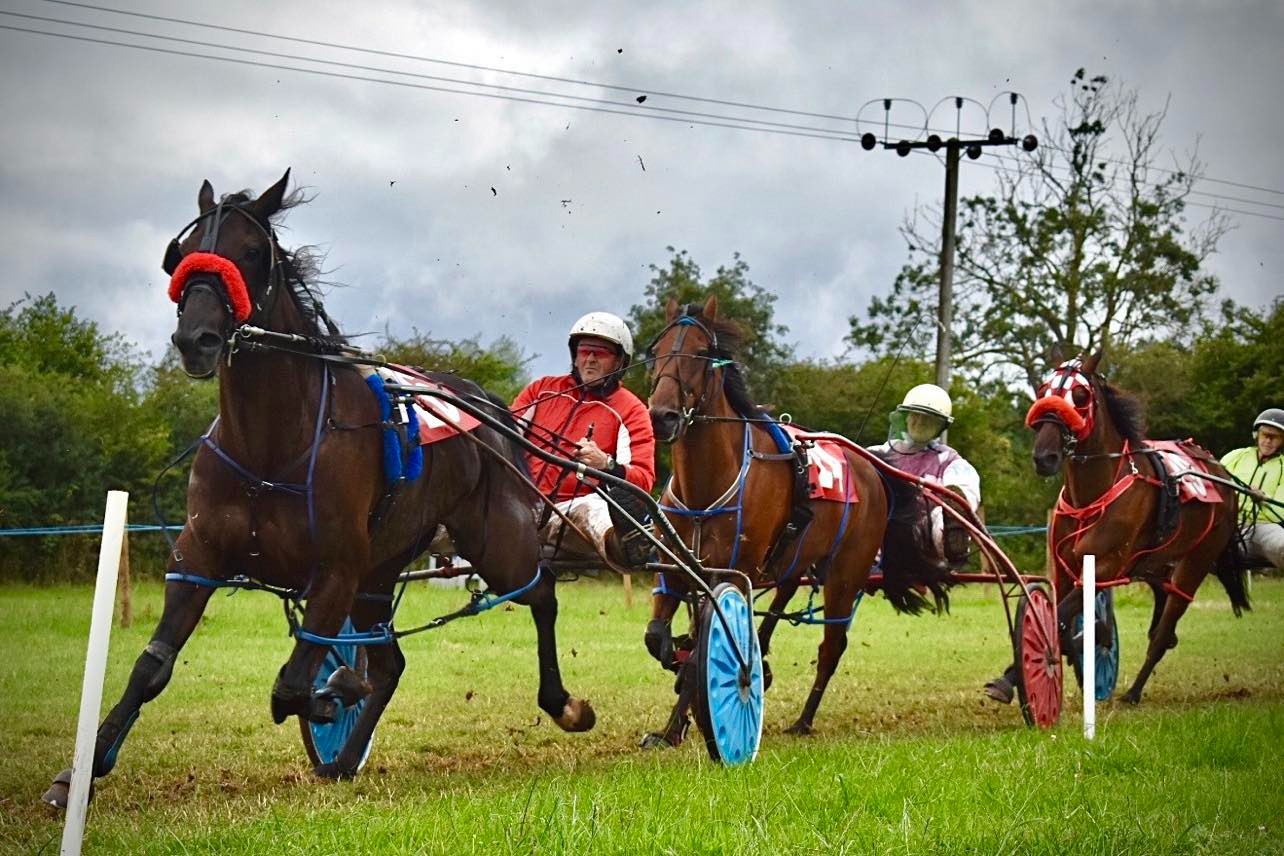 Wales and Border Harness Racing Christmas Fundraiser