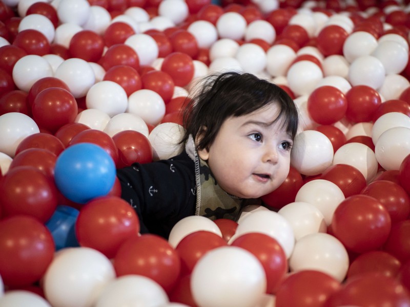 Kaka og krakkar - Karolina Fund