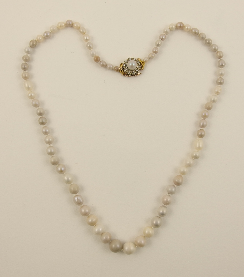 A string of Scottish Tay River pearls the pearls of baroque shape are ...