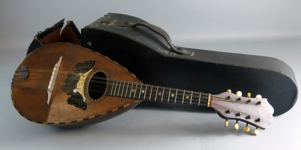 Italian Mandolin - Stridente Fabrica Di Mandolini, Via Antonio, 22 NAPOLI