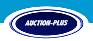 Auction Plus | the saleroom auctions