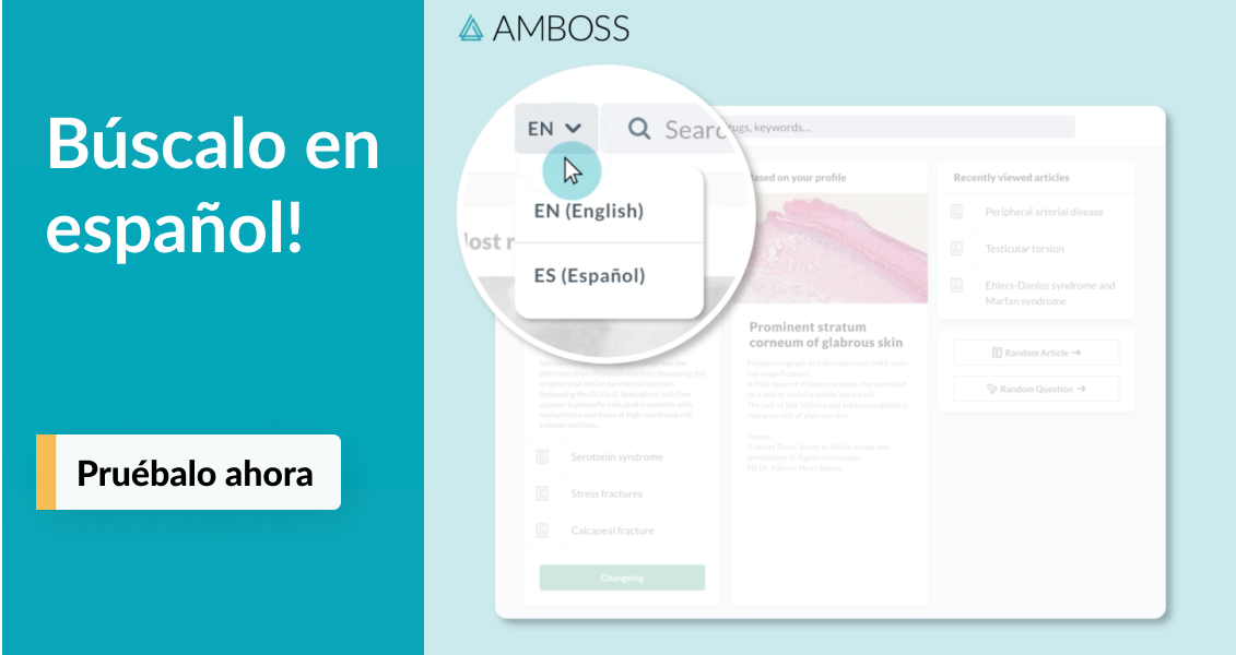 Búscalo en español!