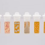 Dip Slides - ECHA Microbiology