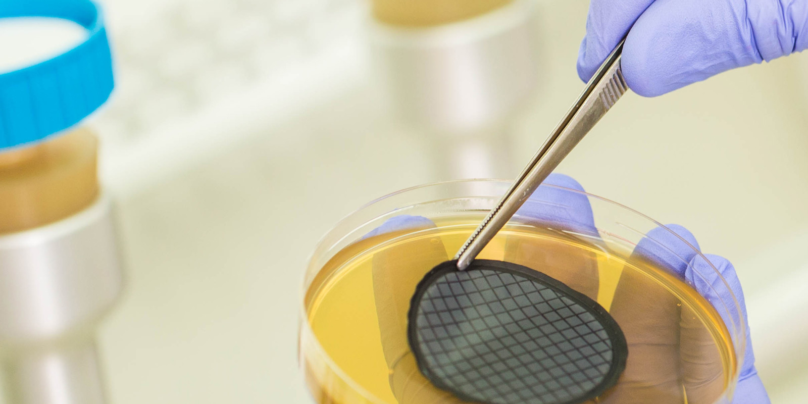 Echa-detail-002 - ECHA Microbiology