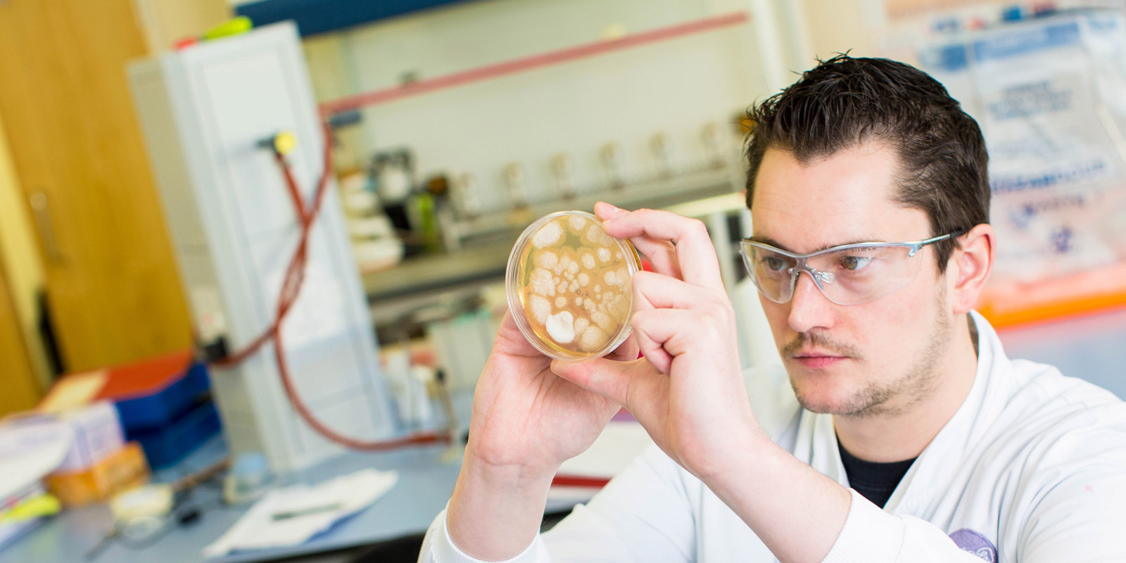 Downloads | ECHA Microbiology