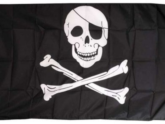 Skull Crossbones Flag