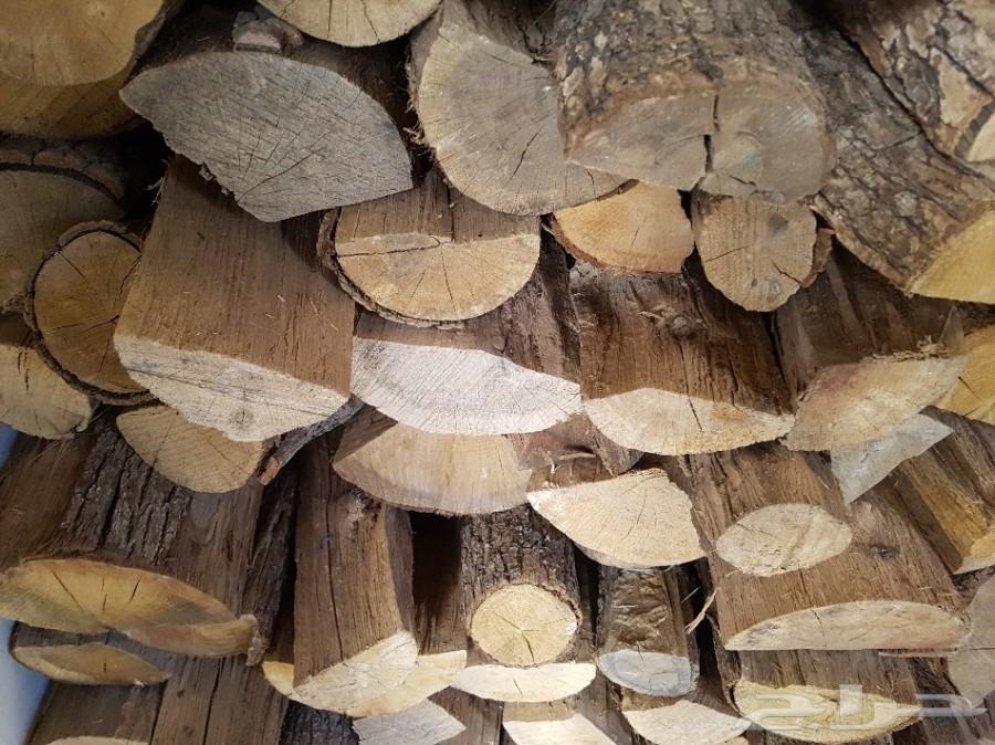 حطب مستورد ممتاز - سوق كلشي أونلاين