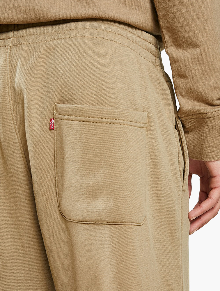 MyRunway | Shop Levi's Petrified Oak Levis Seasonal Sweatpants for Men ...