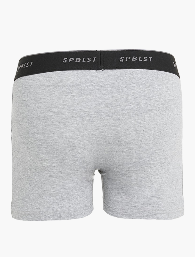 MyRunway | Shop Superbalist Label Tex Boxer Briefs - Grey Melange for ...