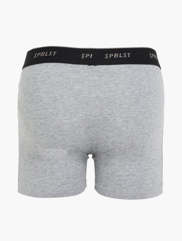 MyRunway | Shop Superbalist Label Tex Boxer Briefs - Grey Melange for ...
