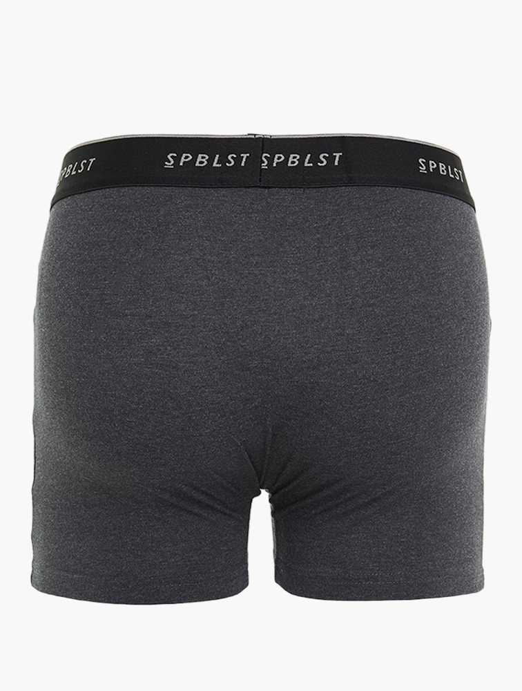 MyRunway | Shop Superbalist Label 2 Pack Tex Boxer Briefs Ttb ...