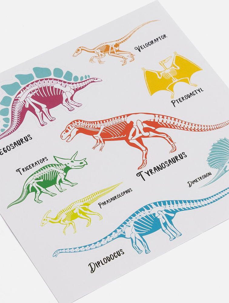 MyRunway | Shop Woolworths Multi Dino Sticker Pack for Kids from ...