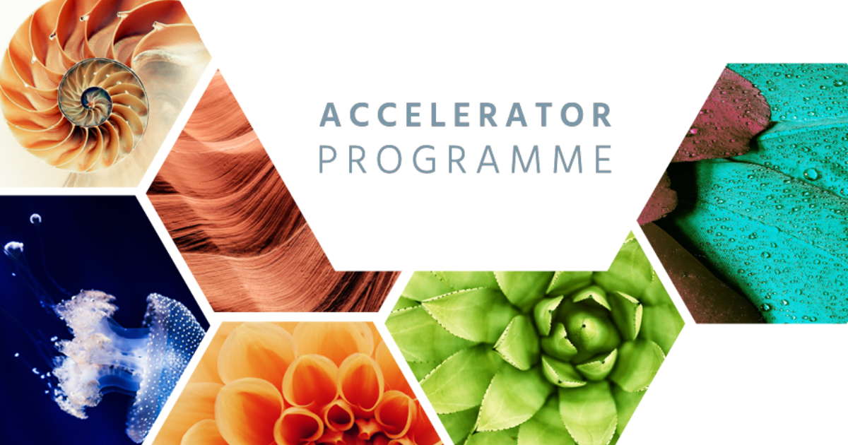 ACE Accelerator Programme | New Adventures