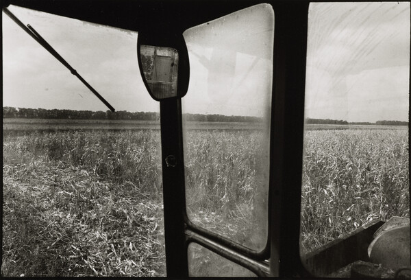 The Ukrainian Steppes, Kirovsky Collective Farm, near Dnepropetrovsk ...