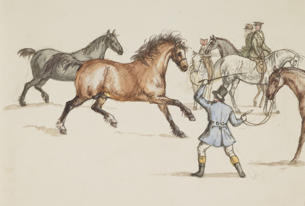 Loose horses following riders in field. Jemima Wedderburn, Lady ...