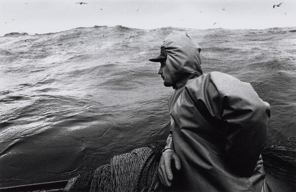 Andrew Cooke watching the waves, aboard the 'Mairead', North Sea by ...
