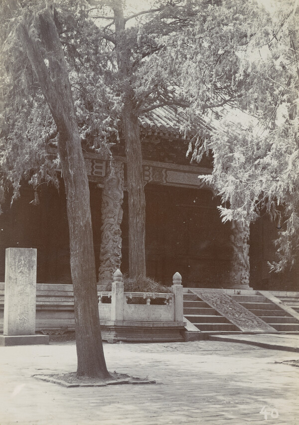 Tree Planted by Confucius at Temple, Ch'u Fou | National Galleries of ...