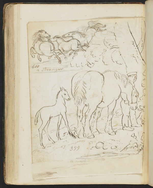 Two drawings of horses by James Howe | National Galleries of Scotland