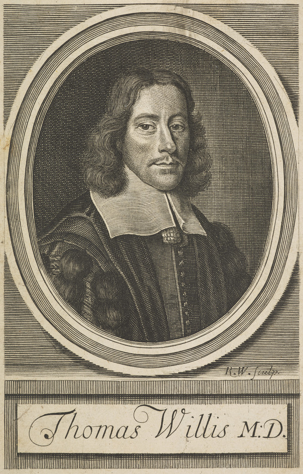 Thomas Willis, 1621 - 1675. Physician by Robert White | National ...
