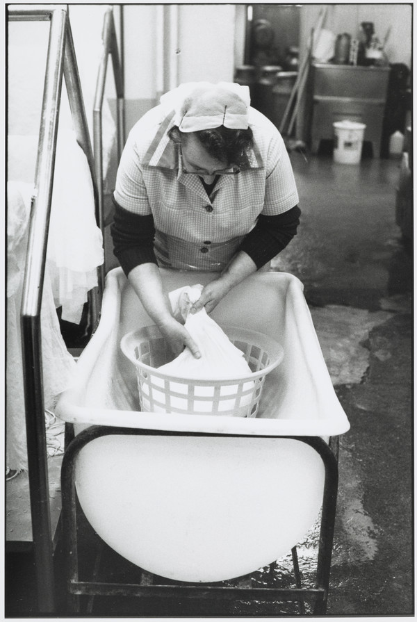 'Making crowdie, Highland Fine Cheeses, Tain' by John Charity ...