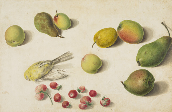 Still-Life with Pears, Strawberries and Dead Canary by Patrick Syme ...