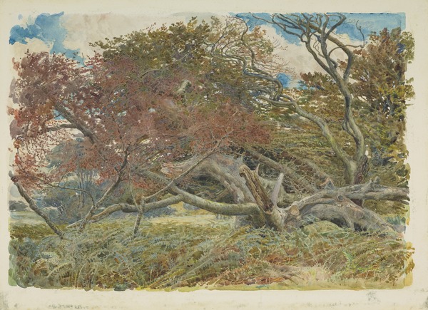 George Wilson | National Galleries of Scotland