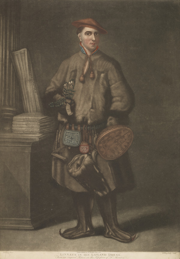 Sir Charles Linnaeus, 1707 - 1778. Naturalist by Henry Kingsbury ...