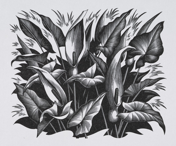 Lords and Ladies by George Mackley | National Galleries of Scotland