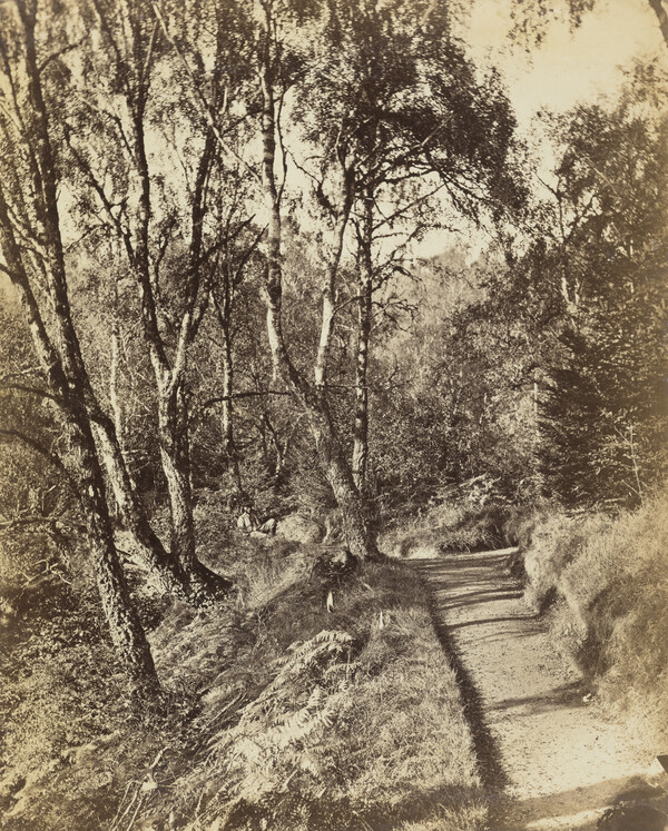Upper Walk above Findhorn. Glenferness [Figure in middle distance ...
