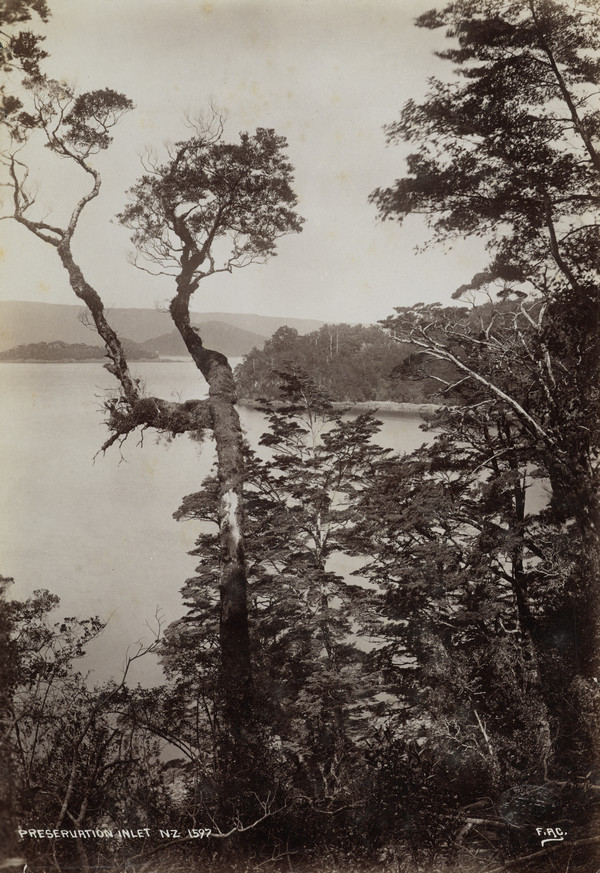 Preservation Inlet by Frank Arnold Coxhead | National Galleries of Scotland