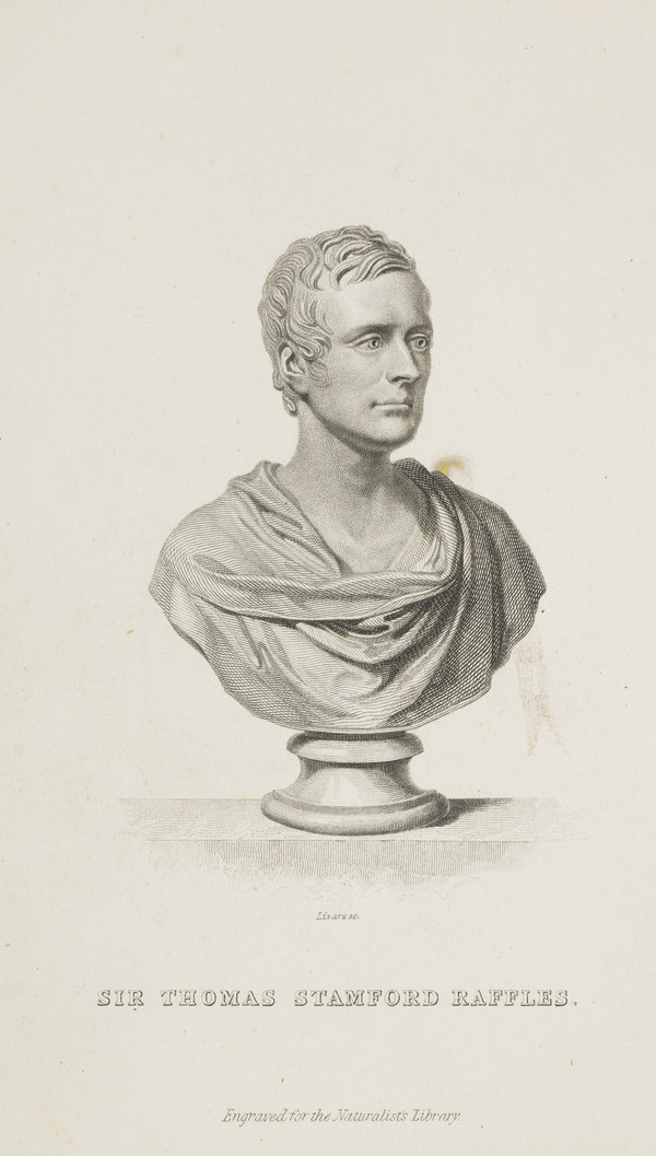 Sir Thomas Stamford Raffles, 1781 - 1826. Colonial governor and naturalist by Lizars | National ...