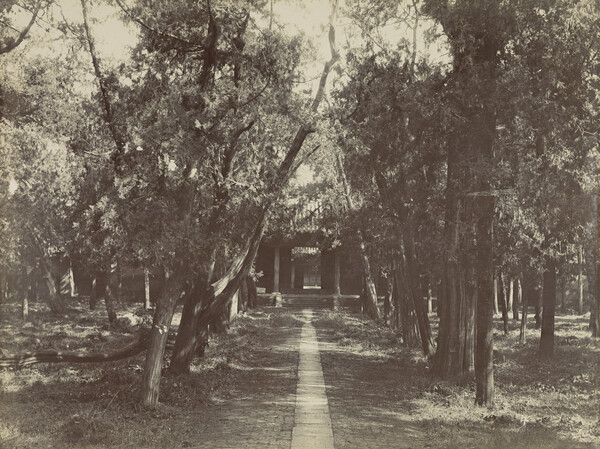 Path between Trees, Temple of Confucius | National Galleries of Scotland
