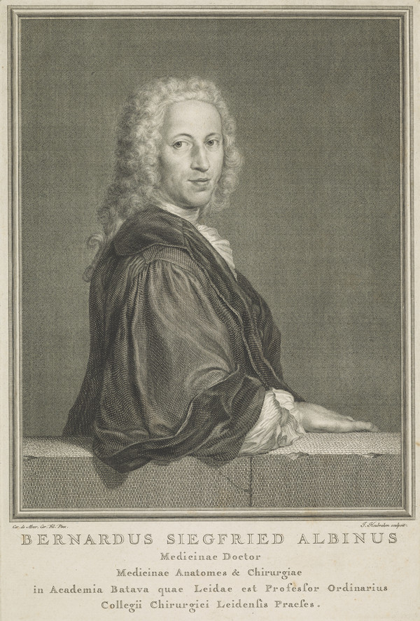 Bernhard Siegfried Albinus, 1696 - 1770. German anatomist by Jacobus ...