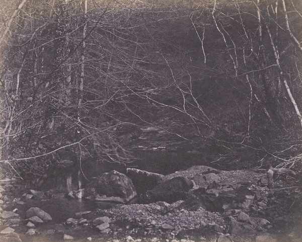 A Woodland Study by John Muir Wood | National Galleries of Scotland