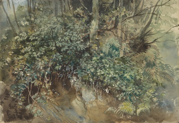 Study of Woodland by George W. Simson | National Galleries of Scotland