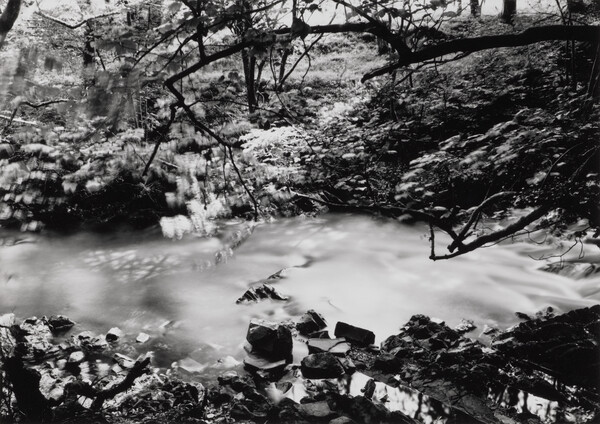 St. Malo, River Nethan, Lanarkshire, Scotland, 2020 by Thomas Joshua ...