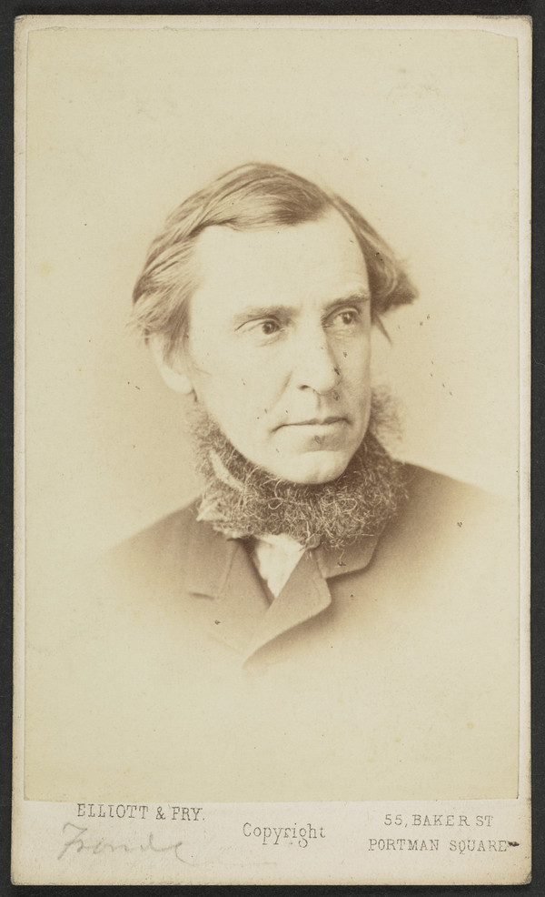 James Anthony Froude (1818-1894) by Elliott and Fry | National ...