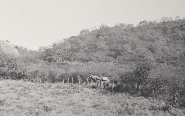 A Tour in India. Vol II. Alwar (103 prints). Beating for Sambur by ...